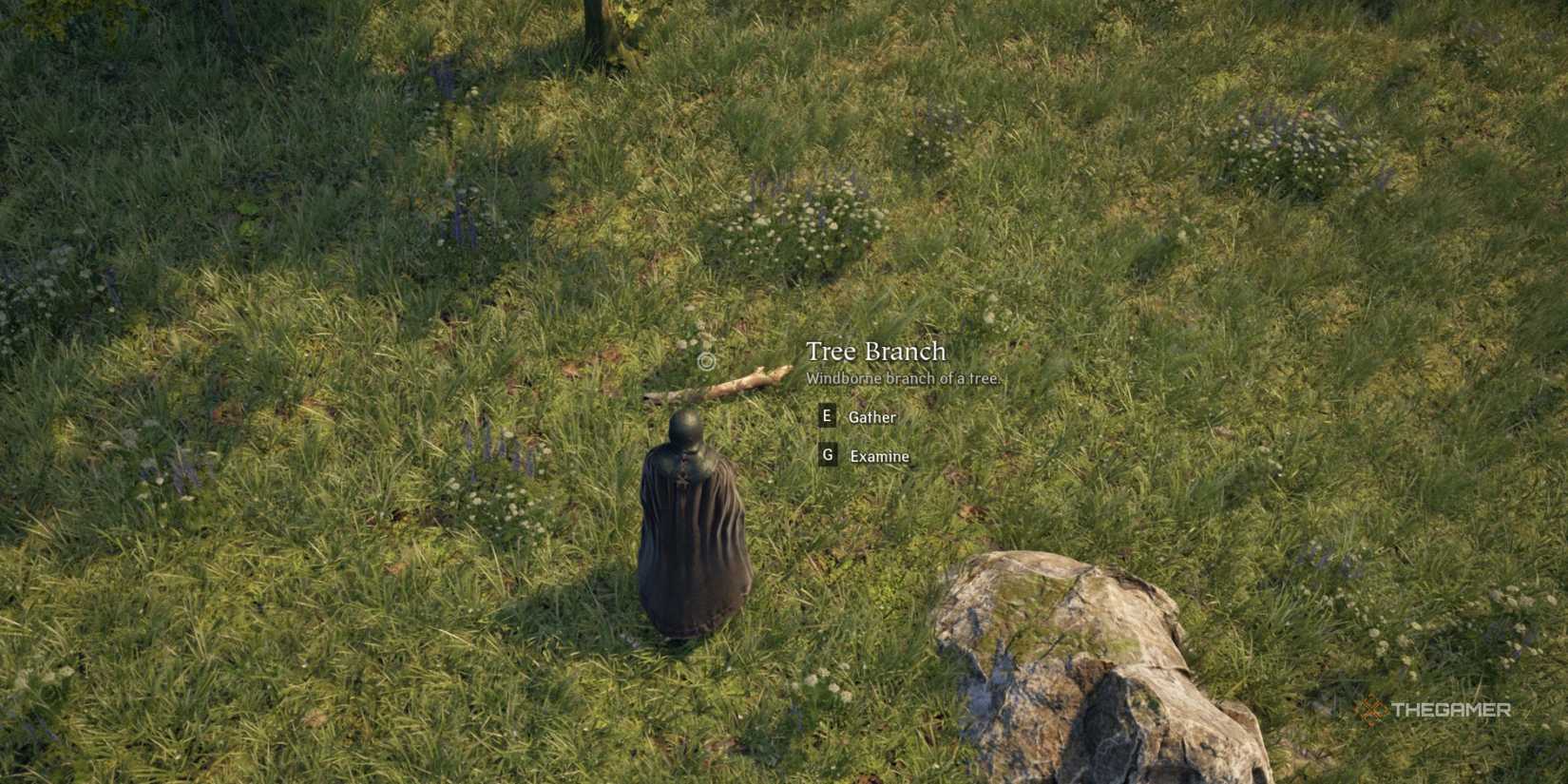 How To Get Sapwood And Heartwood In Pax Dei