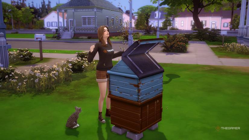 How To Get Honey From Bees In The Sims 4: Seasons