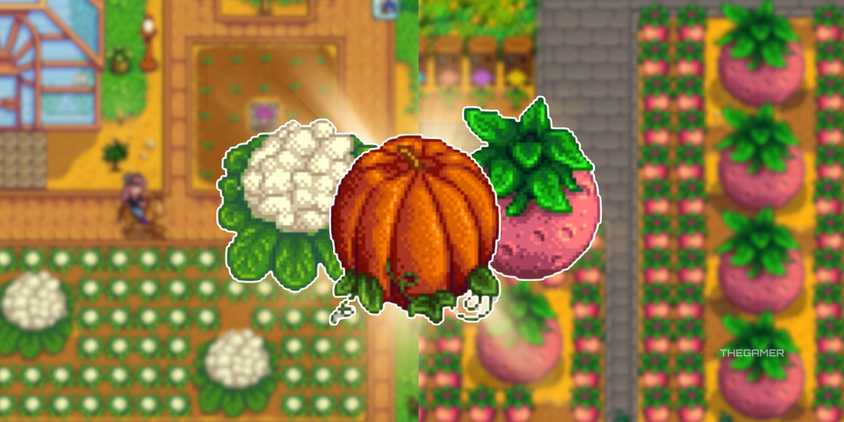 The Best Ways To Plant Trellis Crops In Stardew Valley