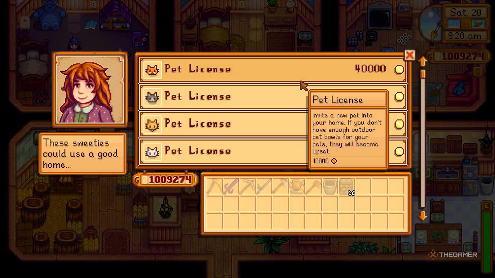 How To Get Pet Gifts In Stardew Valley