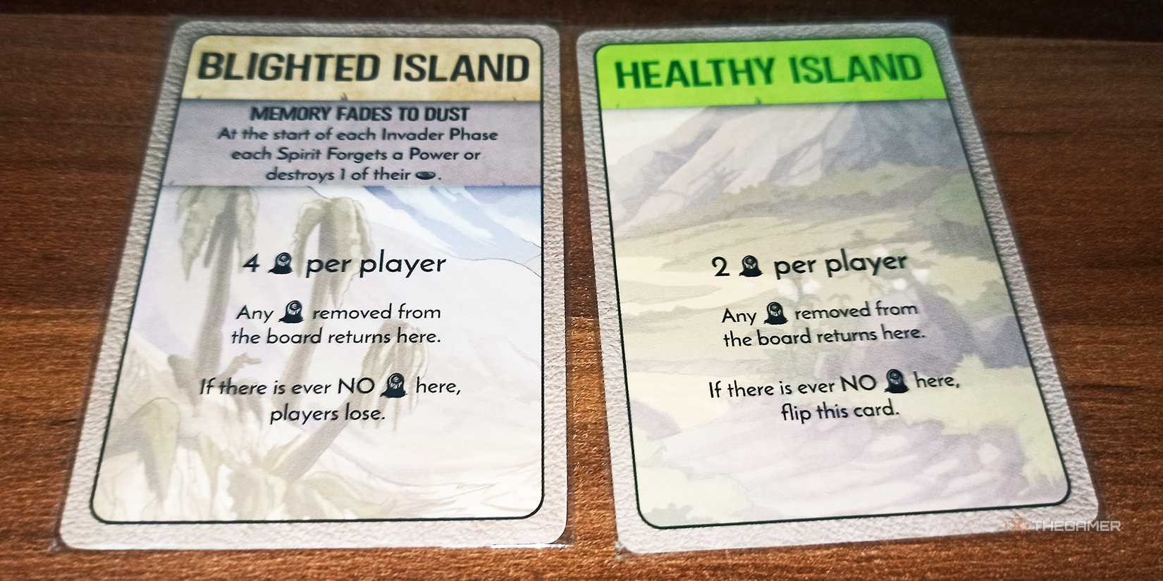 Everything You Need To Know To Play Spirit Island
