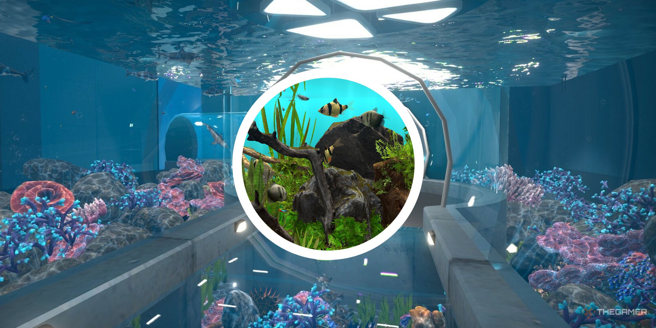 The Best Aquarium Simulator Games To Play