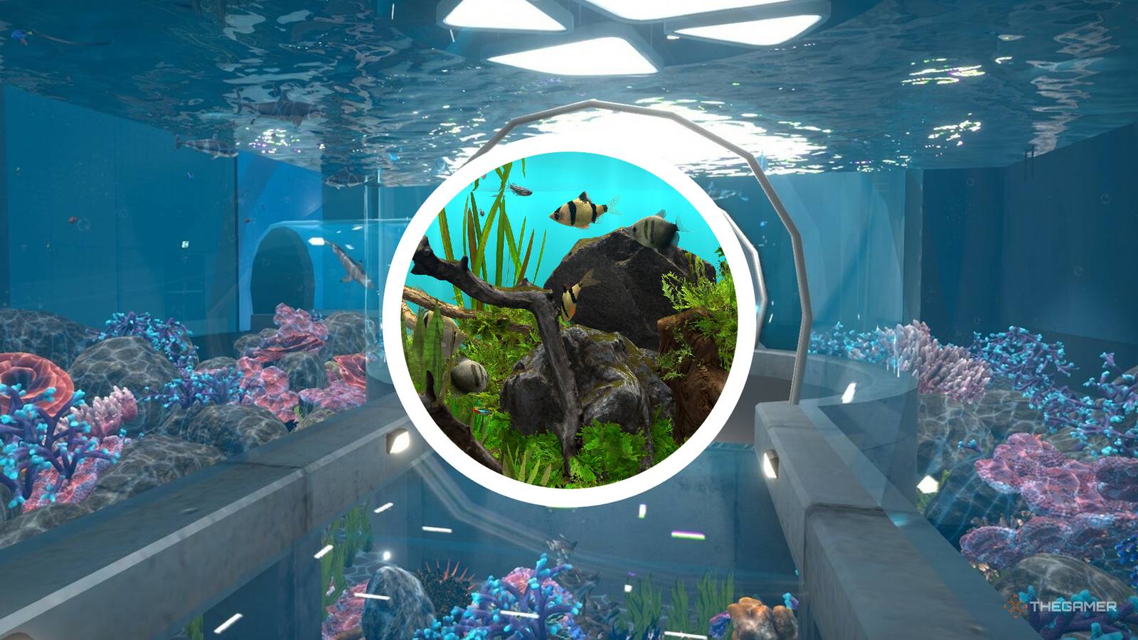 The Best Aquarium Simulator Games To Play