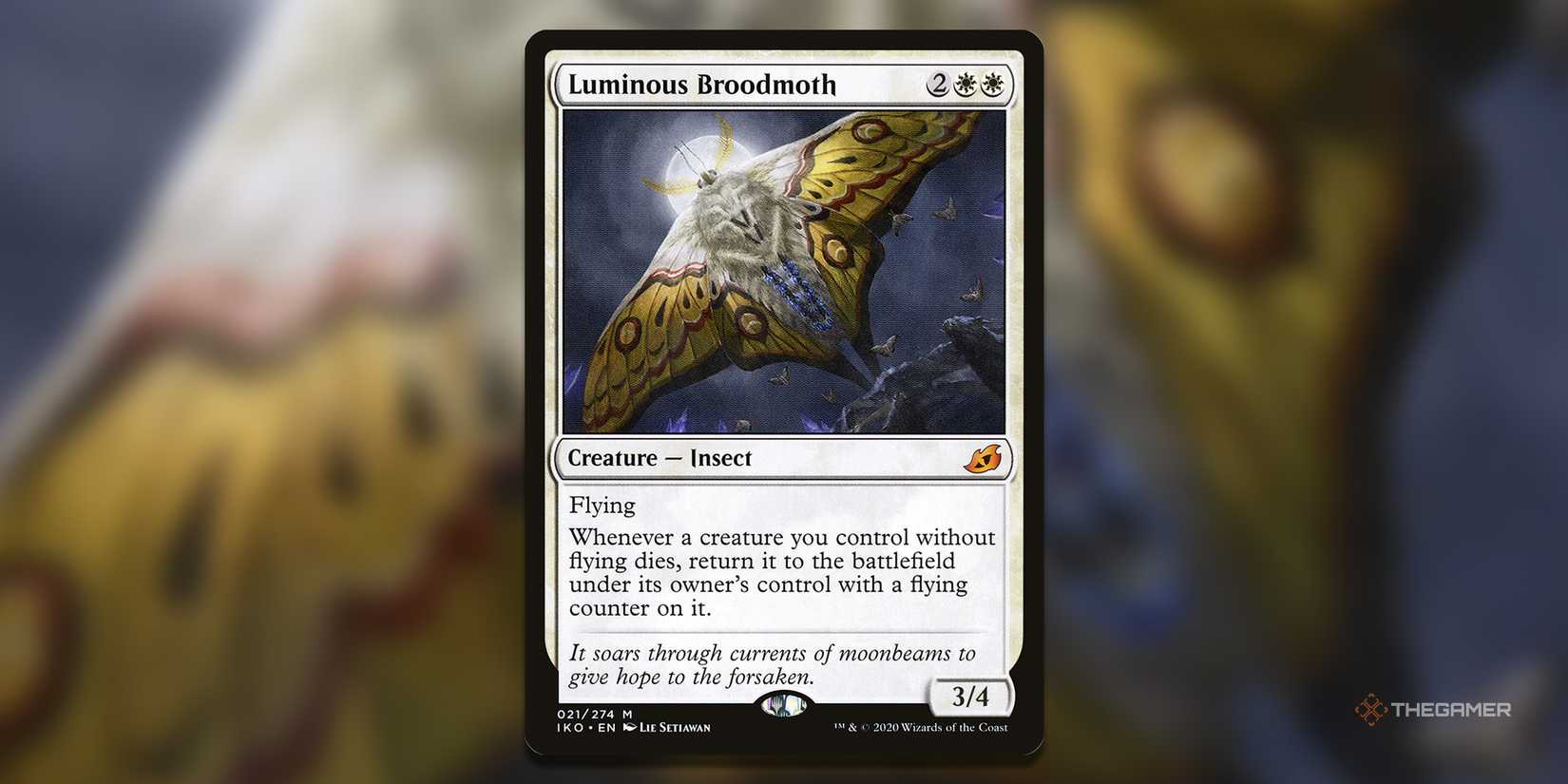 Jackdaw Savior - Exclusive Bloomburrow Spoiler - MTG