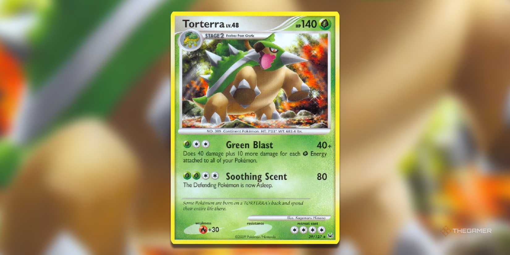 torterra guide