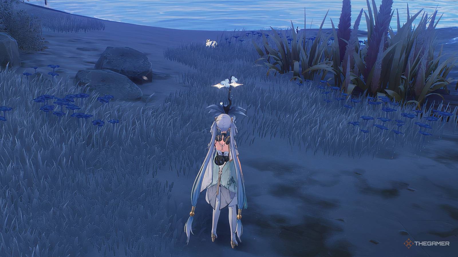 Complete Loong's Pearl Location Guide In Wuthering Waves