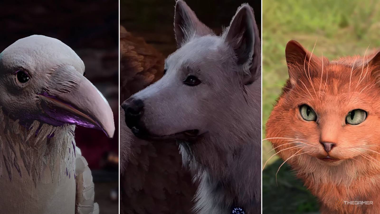 Baldur’s Gate 3: How Many Animals Can You Talk To?