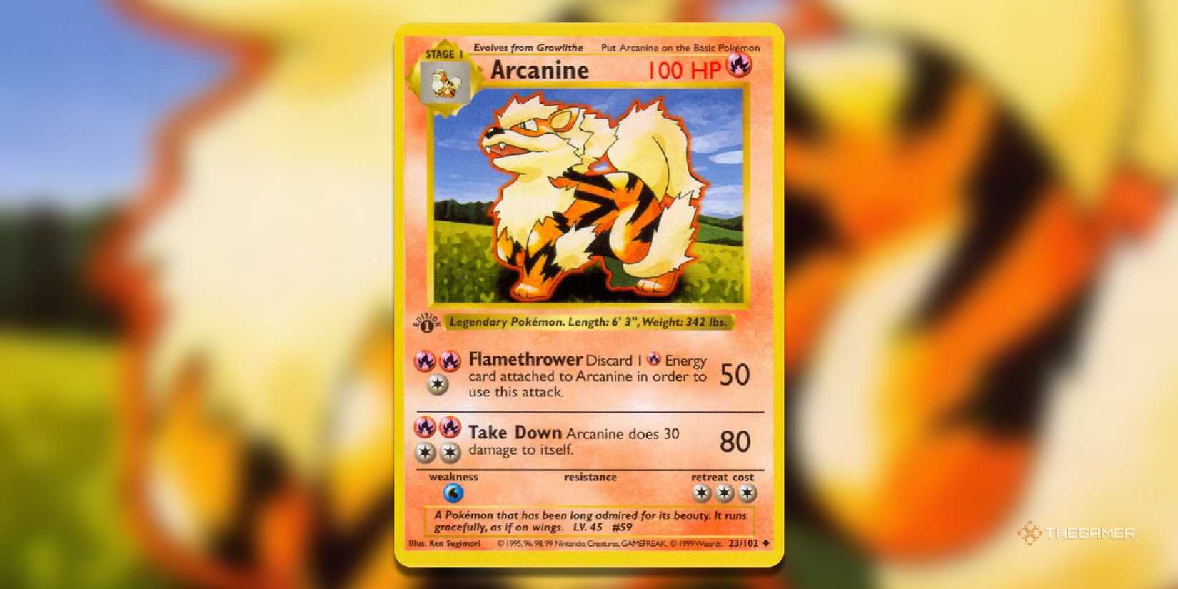 The Most Valuable Arcanine Cards In Pokemon TCG