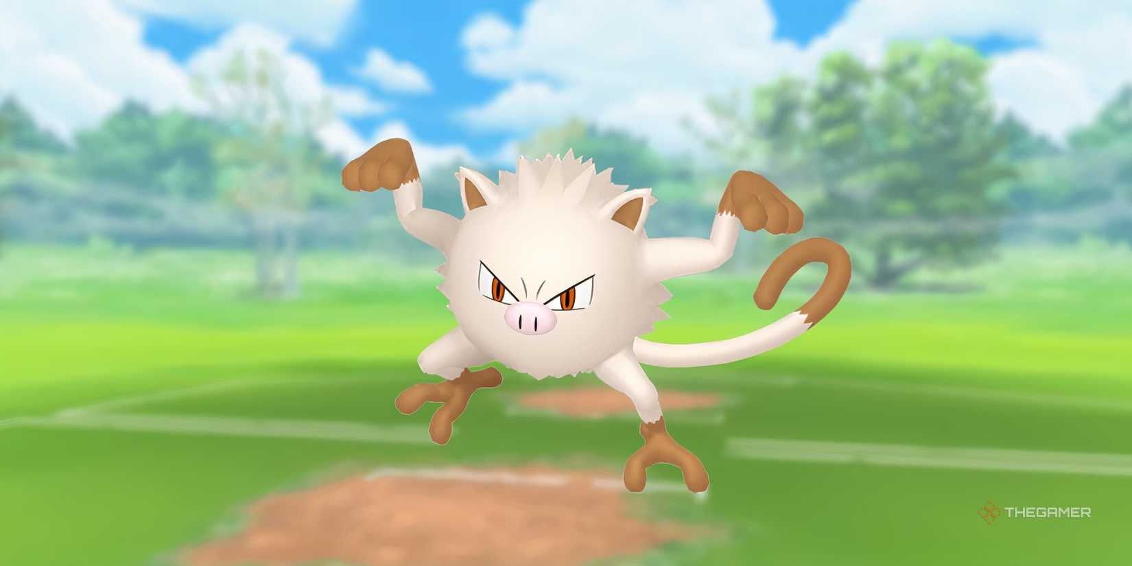 Ranking Every Pig Pokemon
