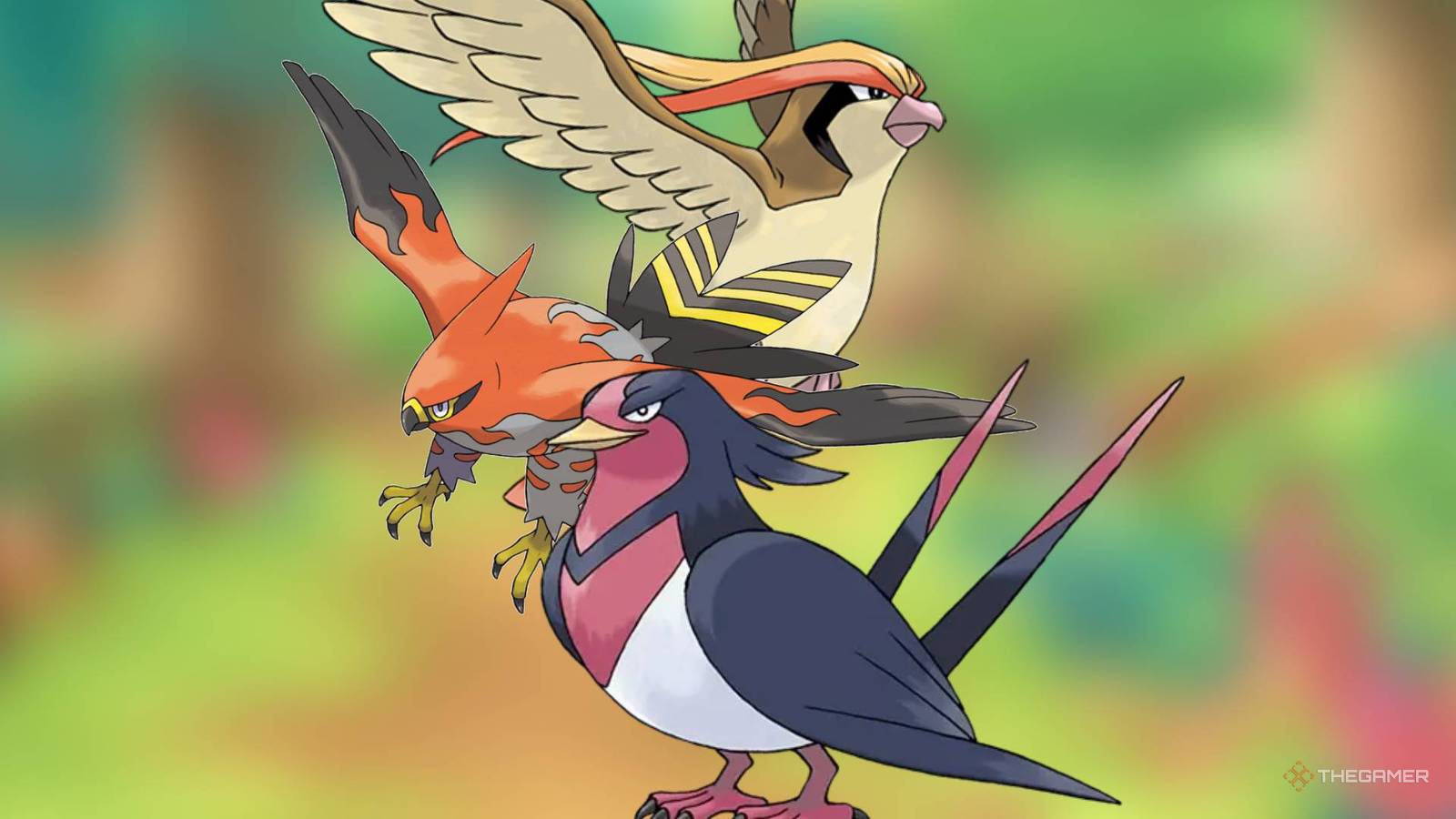 Ranking Every Regional Bird Pokemon