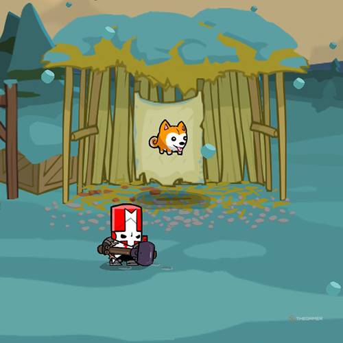 How To Get All The Animal Orbs In Castle Crashers