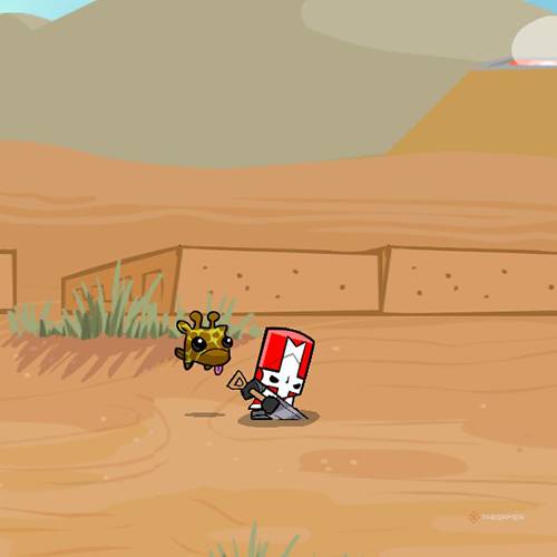 How To Get All The Animal Orbs In Castle Crashers