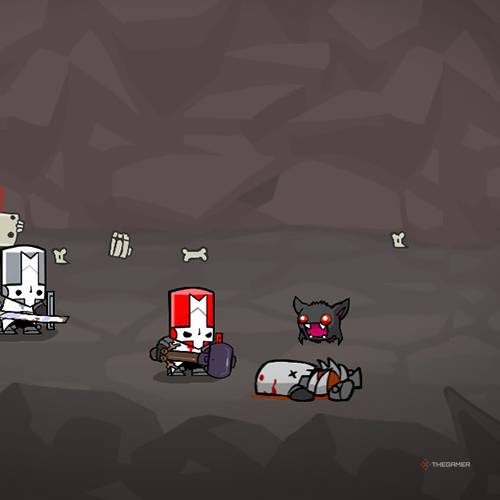 How To Get All The Animal Orbs In Castle Crashers