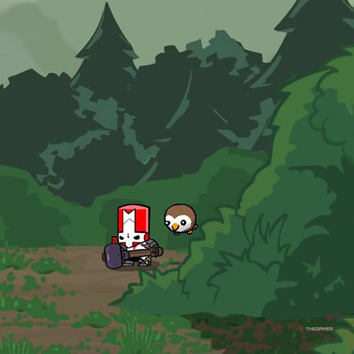 How To Get All The Animal Orbs In Castle Crashers