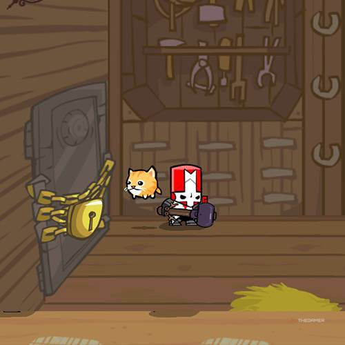 How To Get All The Animal Orbs In Castle Crashers
