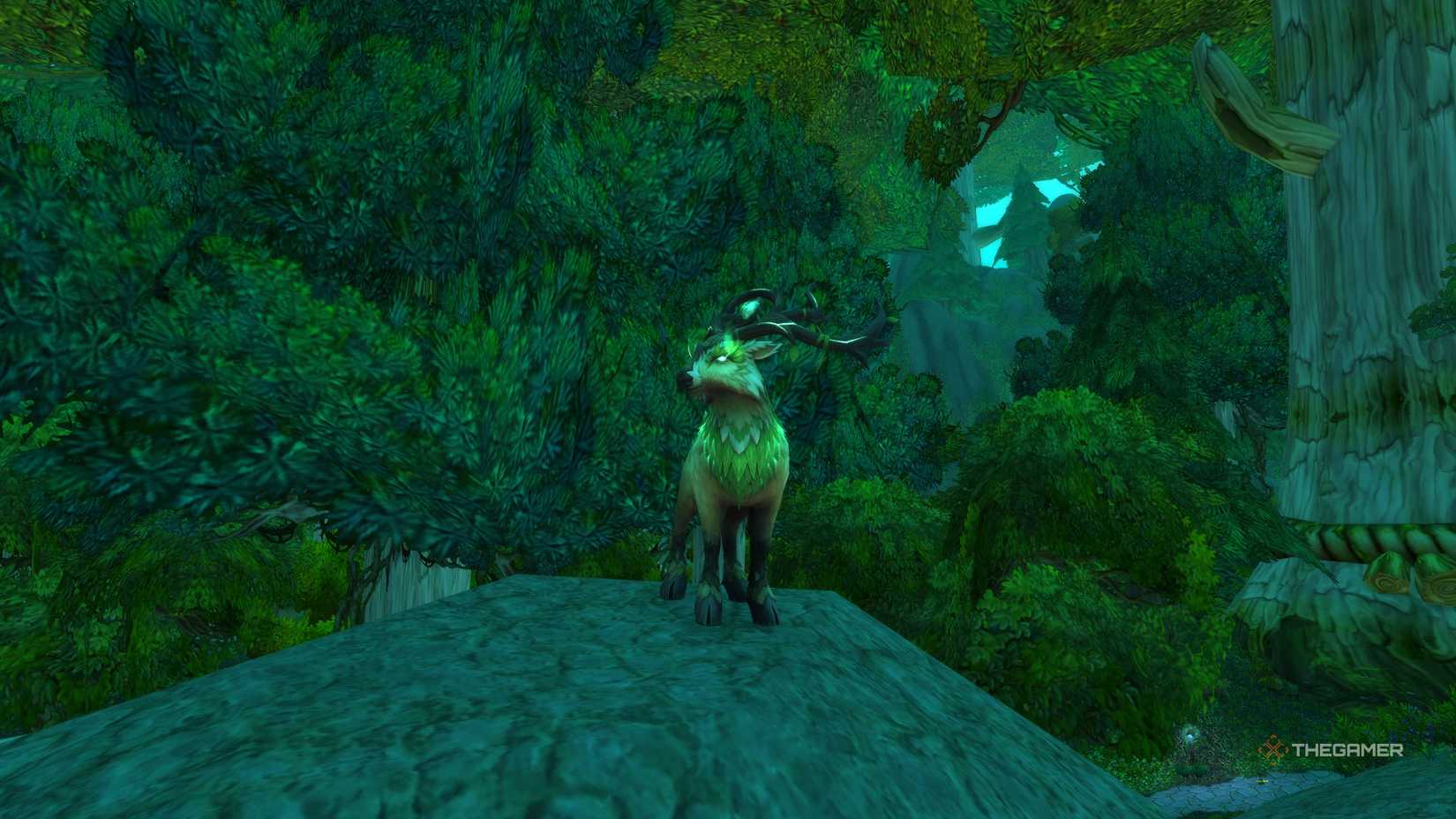How To Get Every Druid Form In World Of Warcraft
