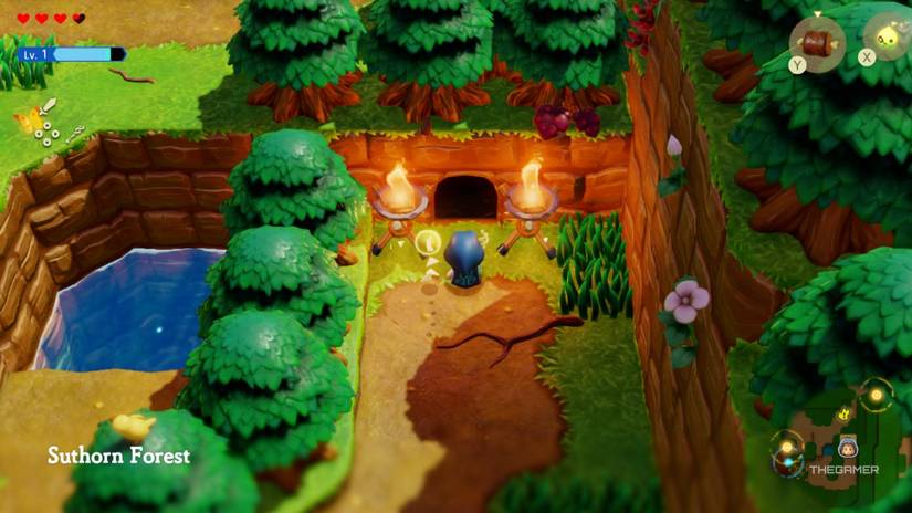 Where To Find The Peahat Echo In The Legend Of Zelda: Echoes Of Wisdom