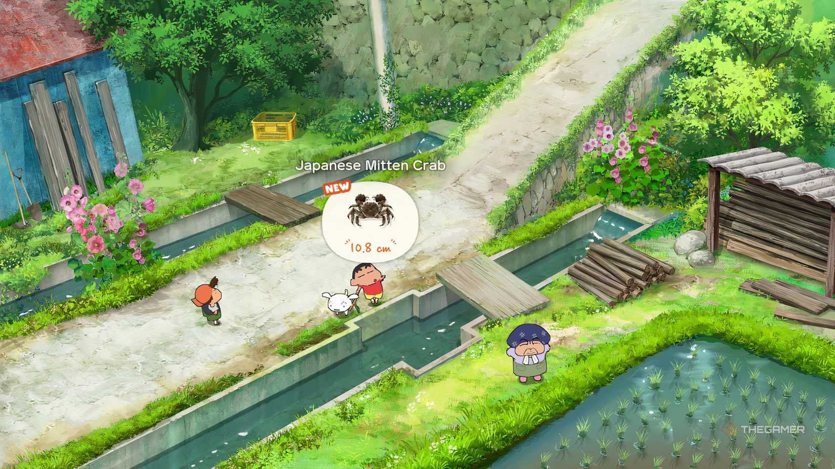 shiro achievement guide