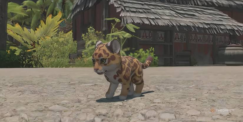 The Cutest Cat Minions In Final Fantasy 14