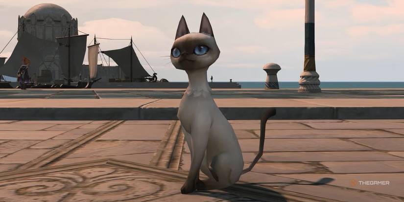 The Cutest Cat Minions In Final Fantasy 14