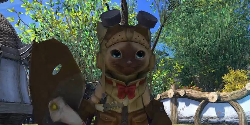 The Cutest Cat Minions In Final Fantasy 14