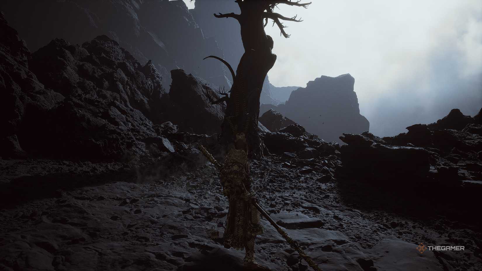 All Luojia Fragrant Vine Locations In Black Myth: Wukong
