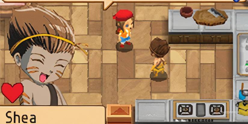 The Best Harvest Moon Games, Ranked