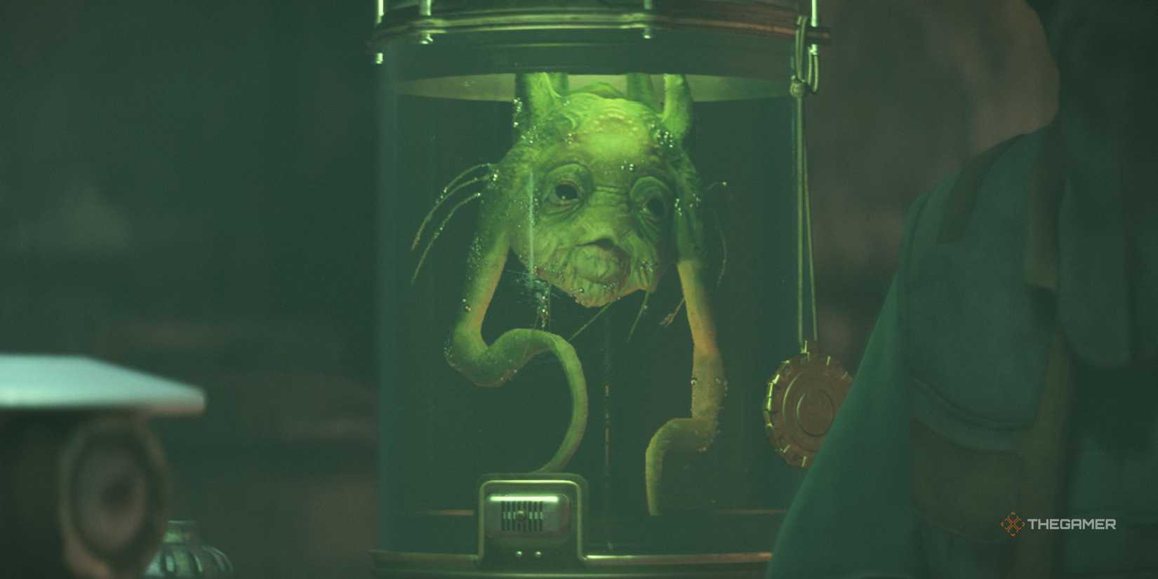 Where To Find Every Sabacc High Roller In Star Wars Outlaws