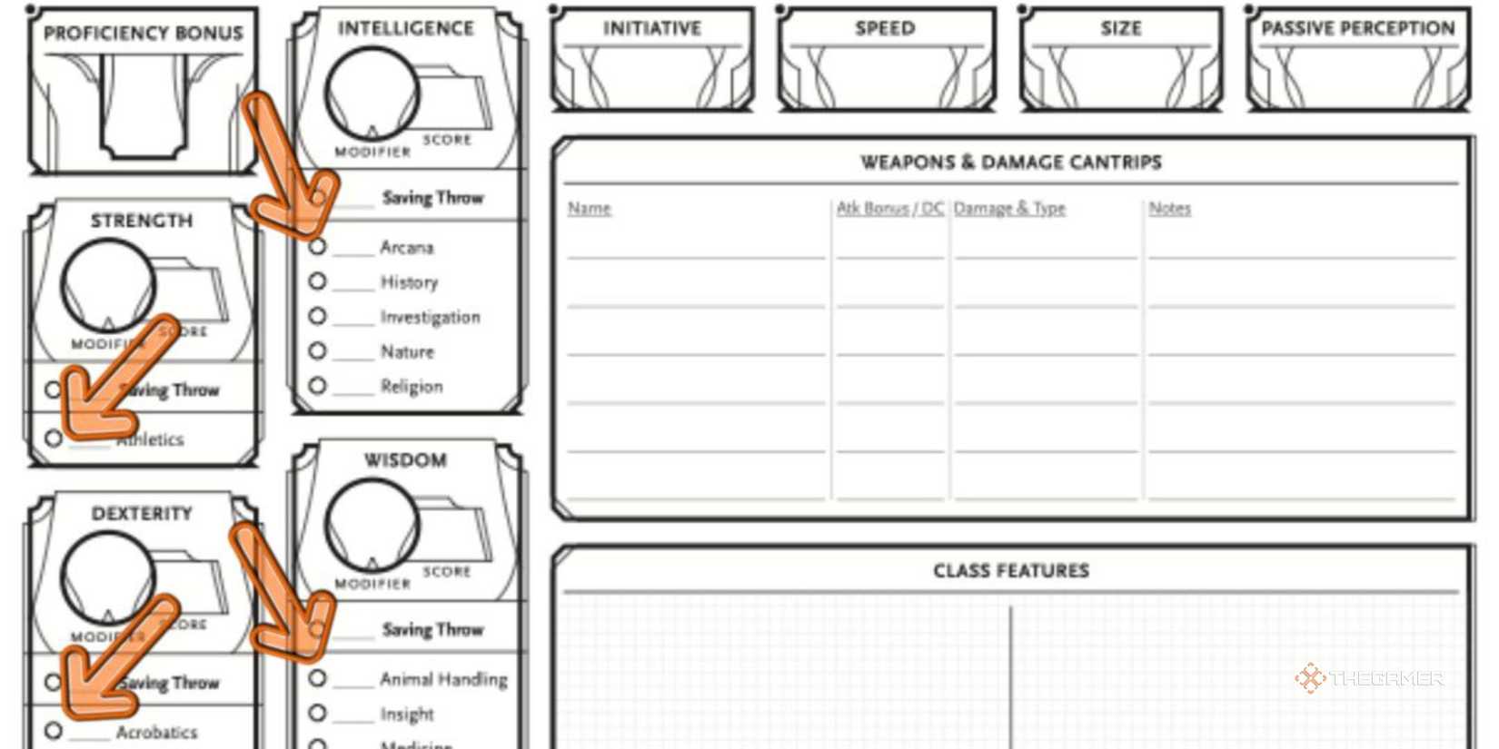 How To Create A Character Using The 2024 Player's Handbook In DND