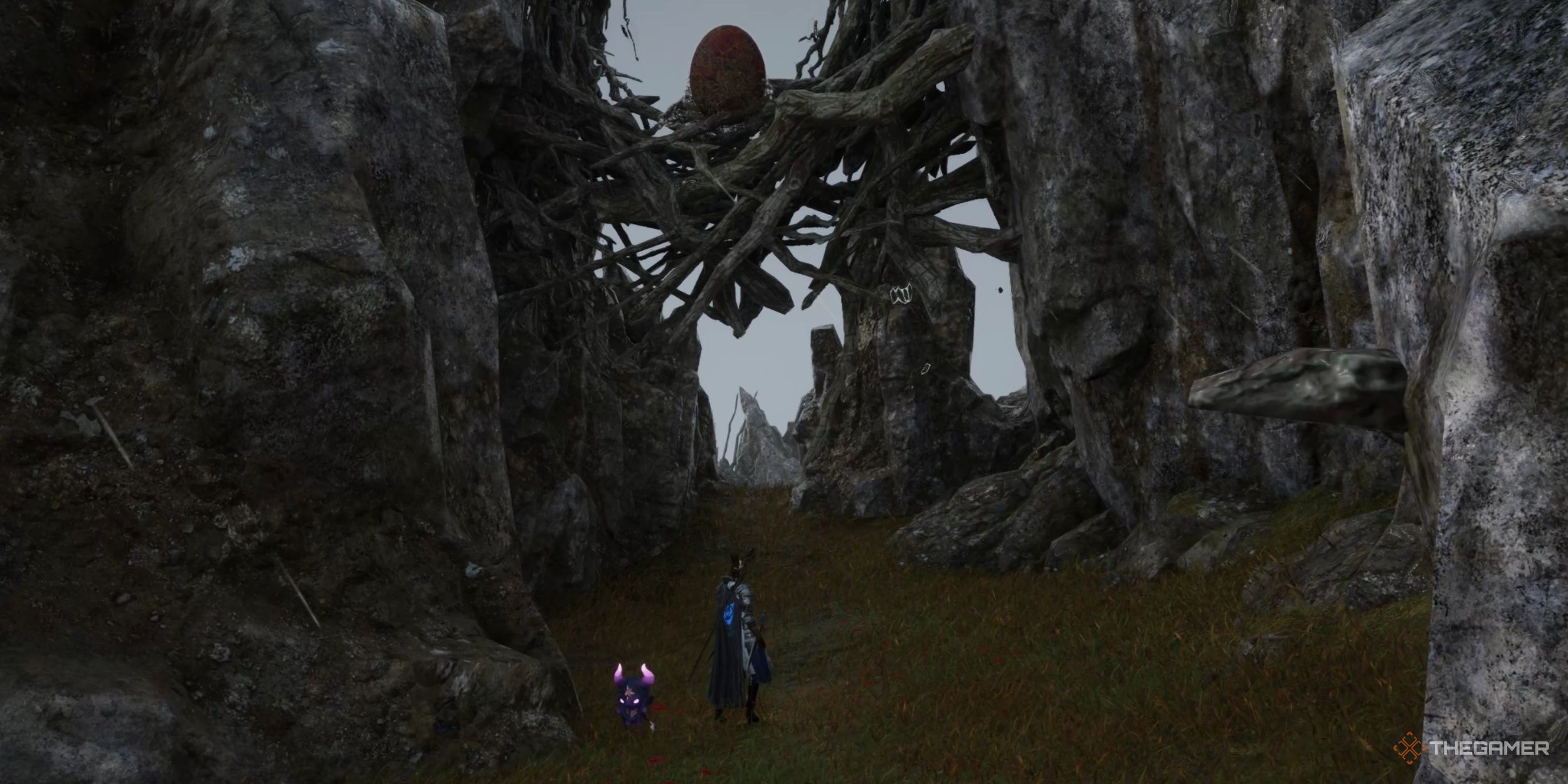 How To Fly On To The Whale In Throne And Liberty