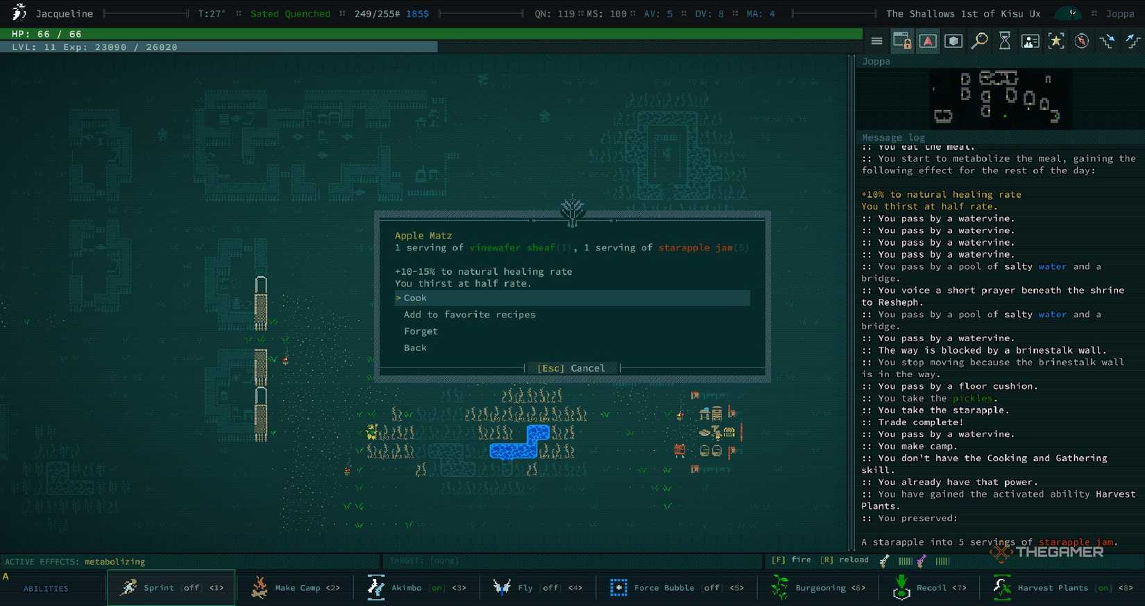 Tips And Tricks For Beginners In Caves Of Qud
