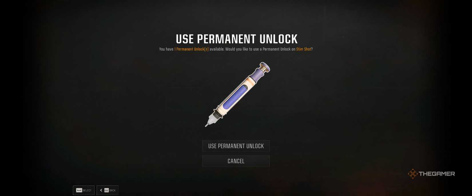 Best Permanent Items To Unlock Using Prestige In Call Of Duty: Black Ops 6