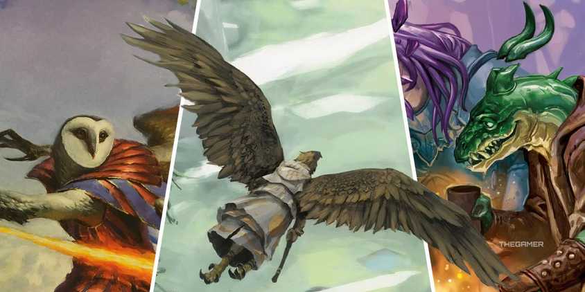 How To Build A Circle Of The Land Druid In DnD