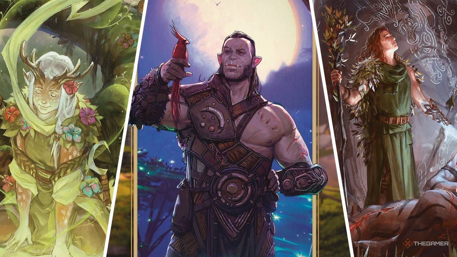 How To Build A Circle Of The Moon Druid In DND