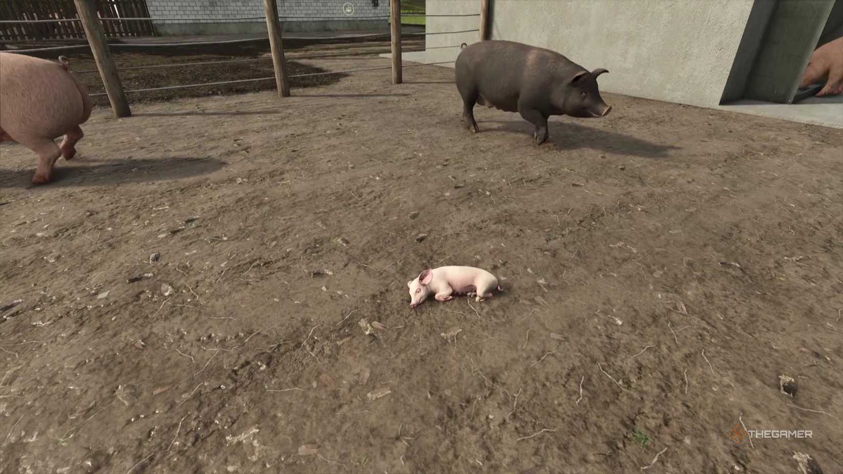 Everything You Need To Know About Pigs In Farming Simulator 25