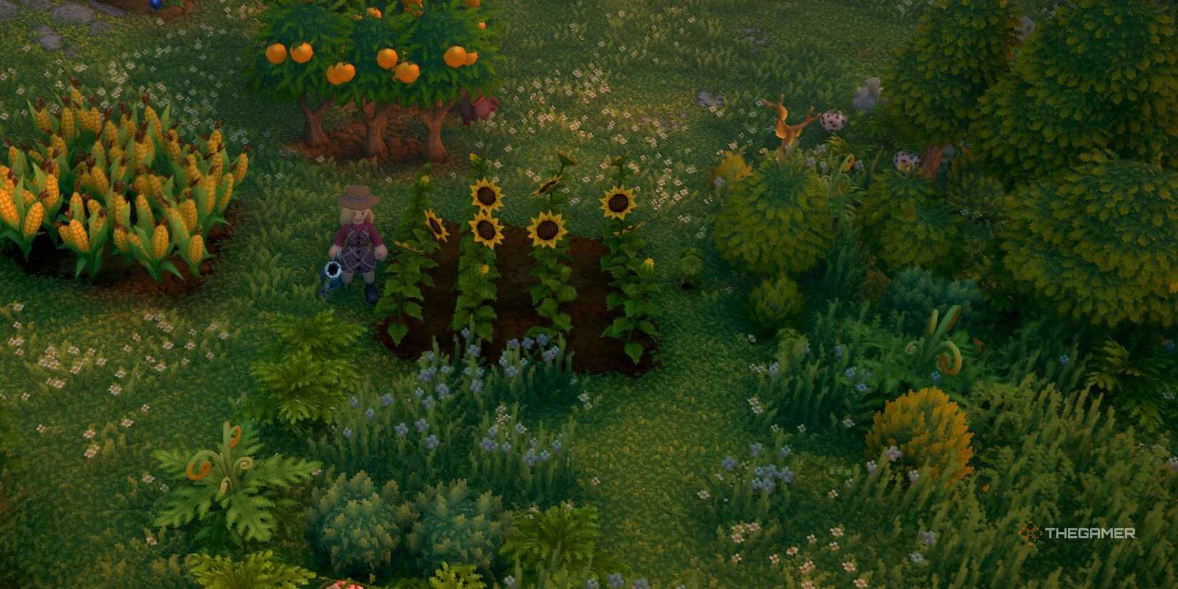 The Best Crops To Grow First In Luma Island