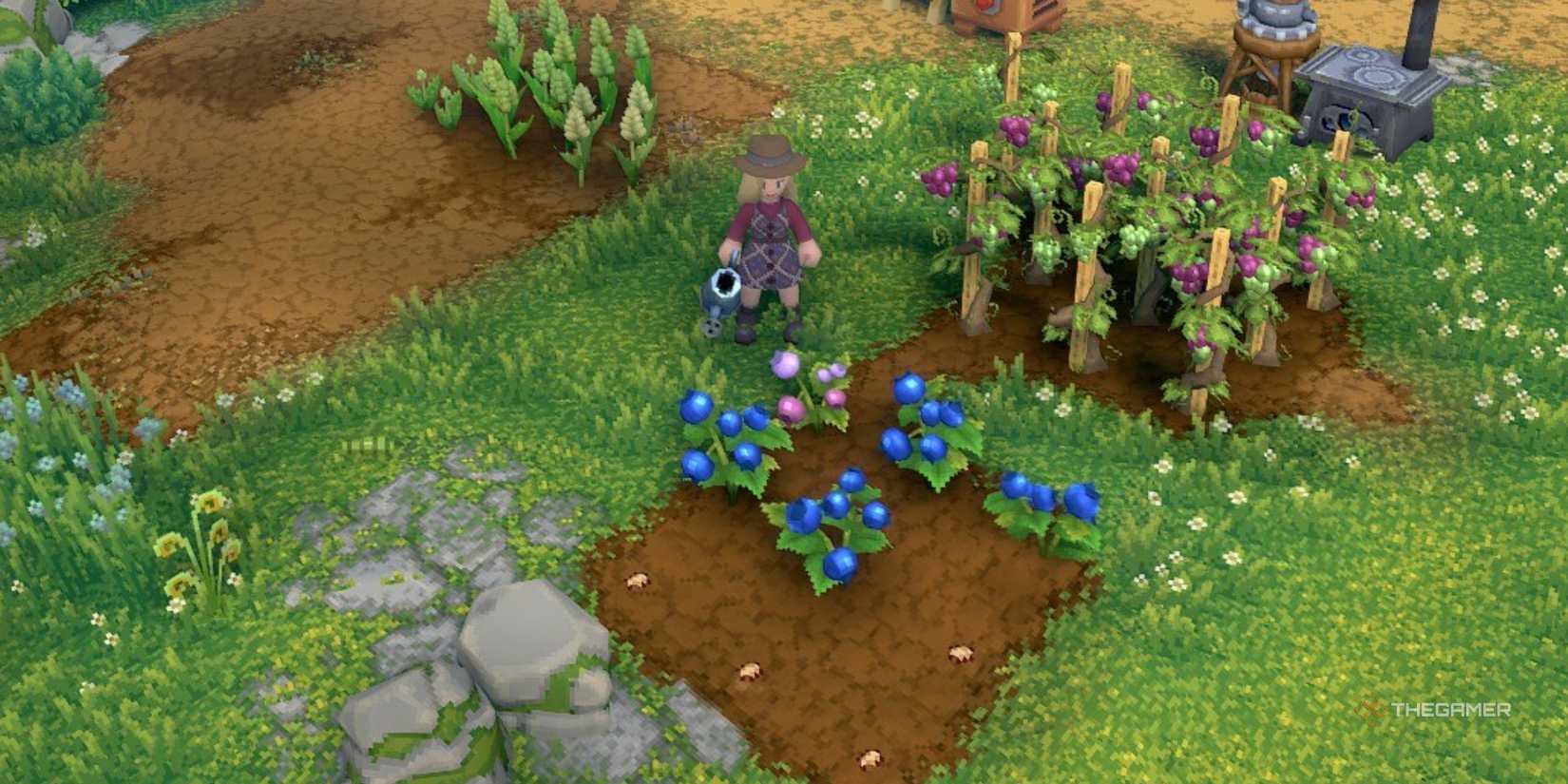 The Best Crops To Grow First In Luma Island