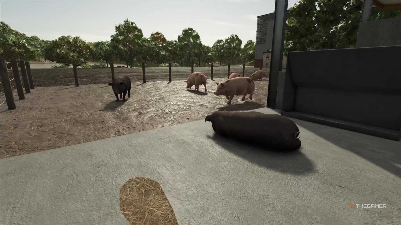 Everything You Need To Know About Pigs In Farming Simulator 25