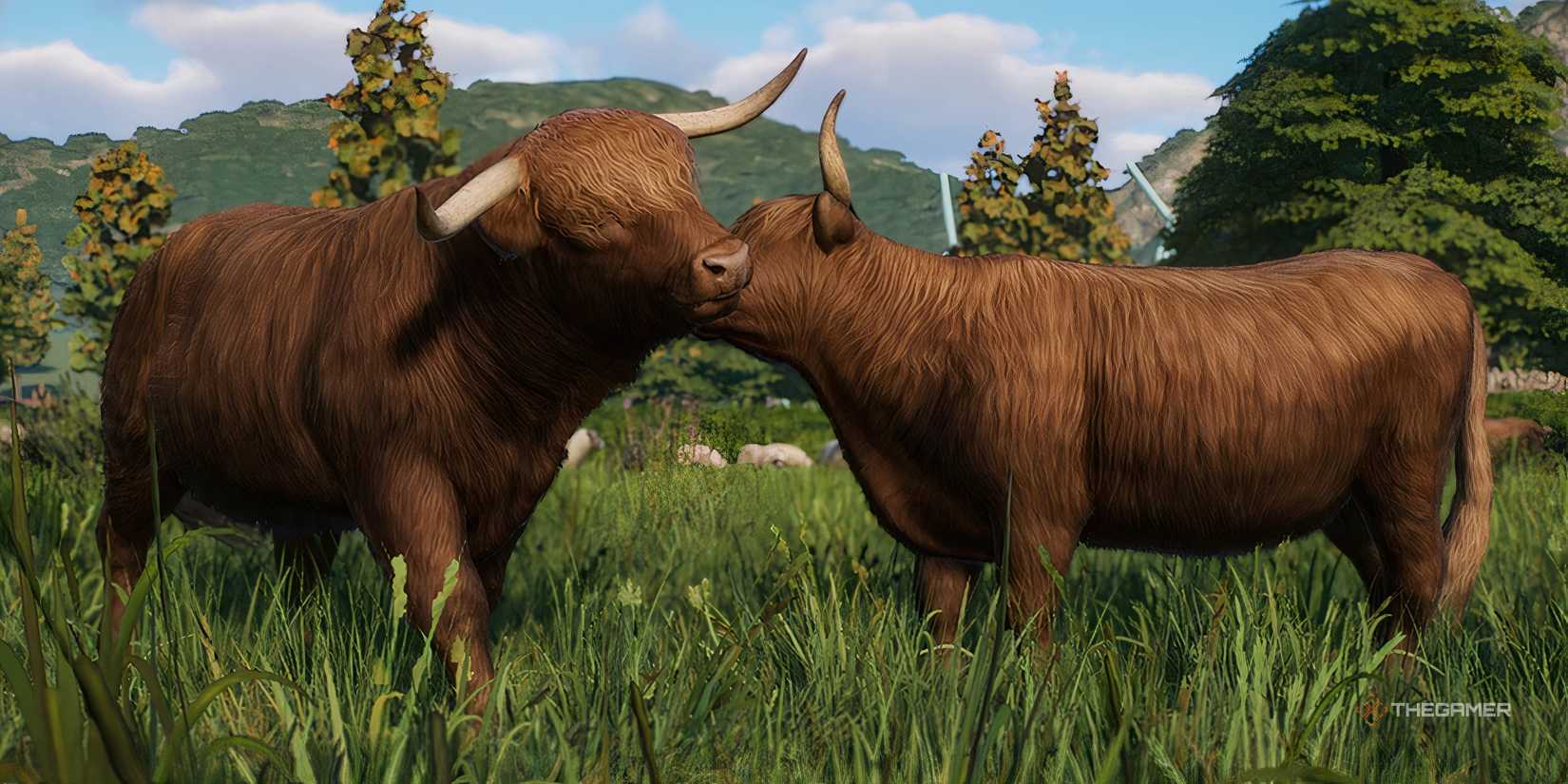 Which Biome Should You Pick In Planet Zoo?