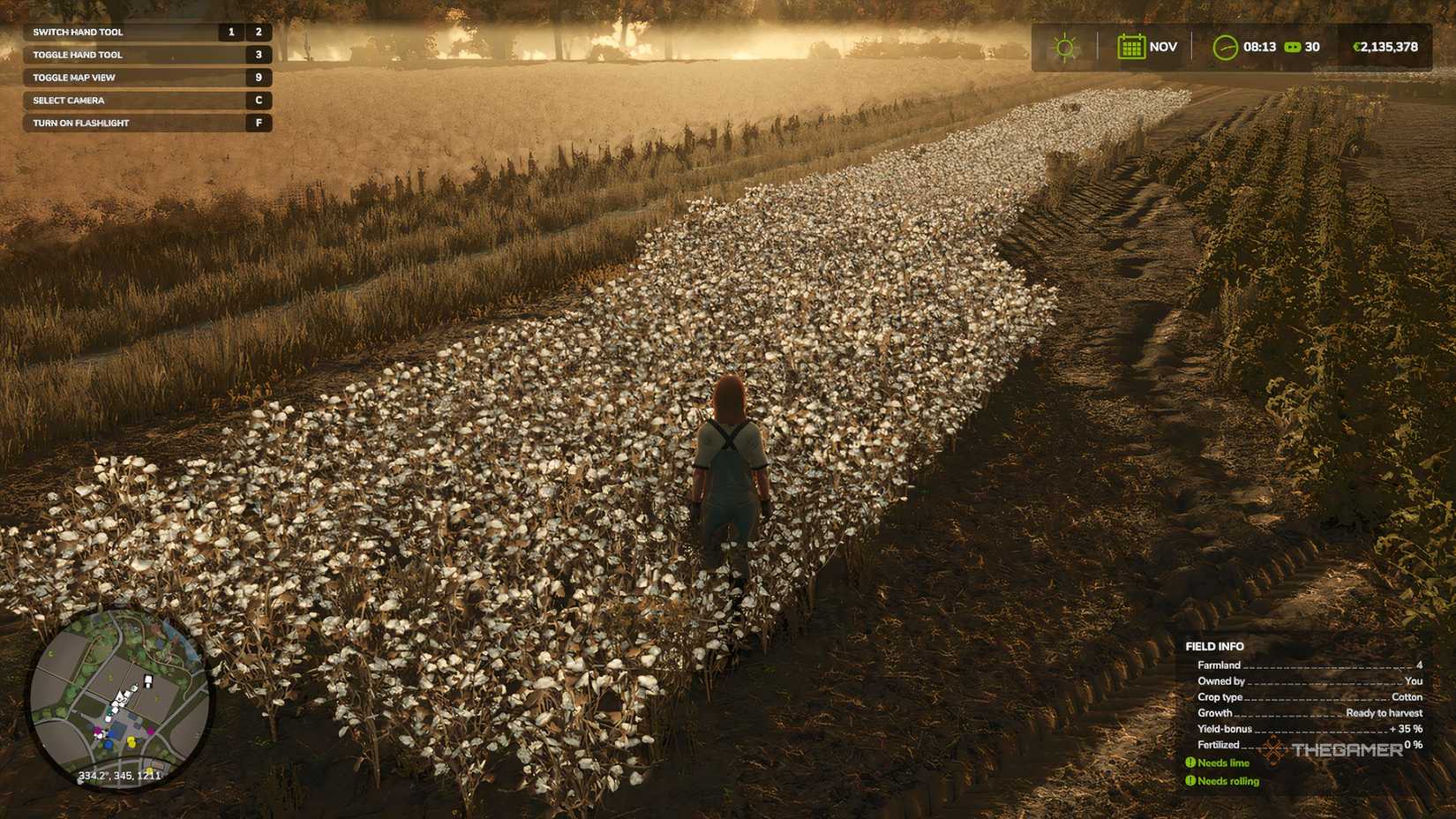 How To Grow And Harvest Cotton In Farming Simulator 25