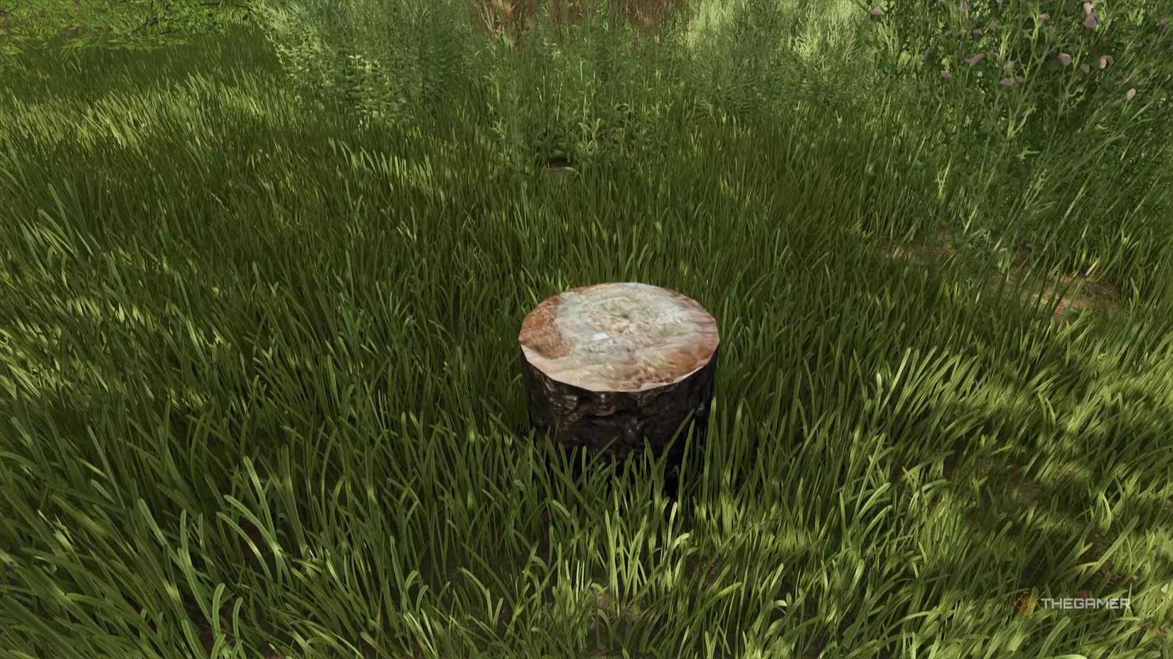 Complete Forestry Guide For Farming Simulator 25