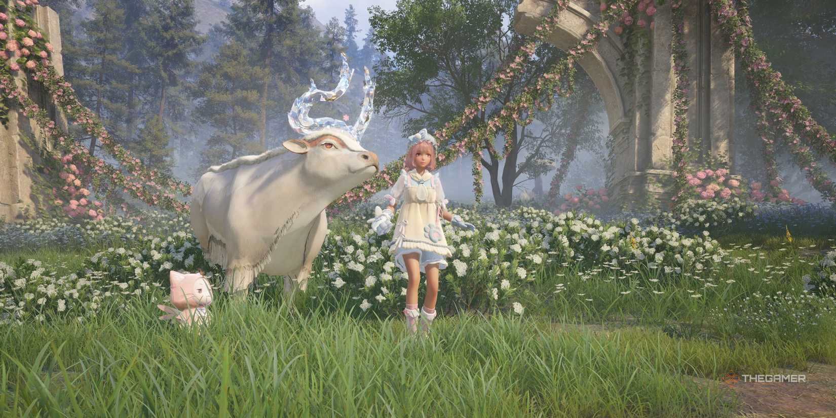 The Best Ways To Farm Animal-Grooming Insight In Infinity Nikki