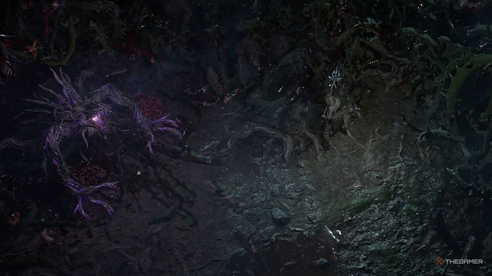 Where To Find Every Act One Optional Boss In Path Of Exile 2