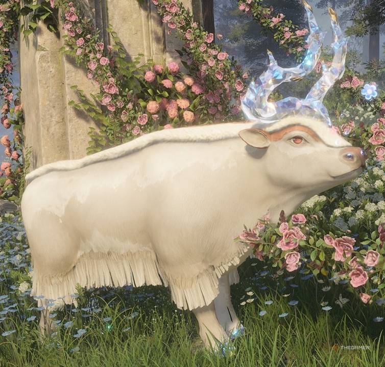 The Best Ways To Farm Animal-Grooming Insight In Infinity Nikki