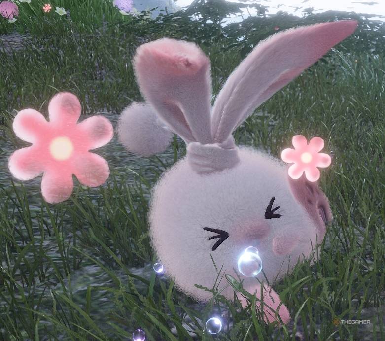 The Best Ways To Farm Animal-Grooming Insight In Infinity Nikki