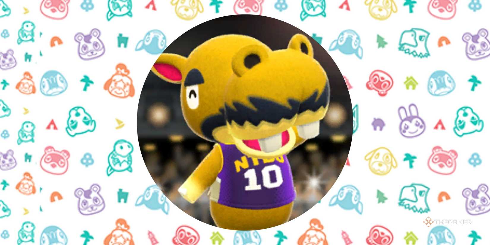 All Villager Personality Changes In Animal Crossing