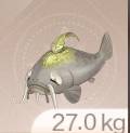 Fish With The Highest Fishing Insight And Where To Find Them In ...