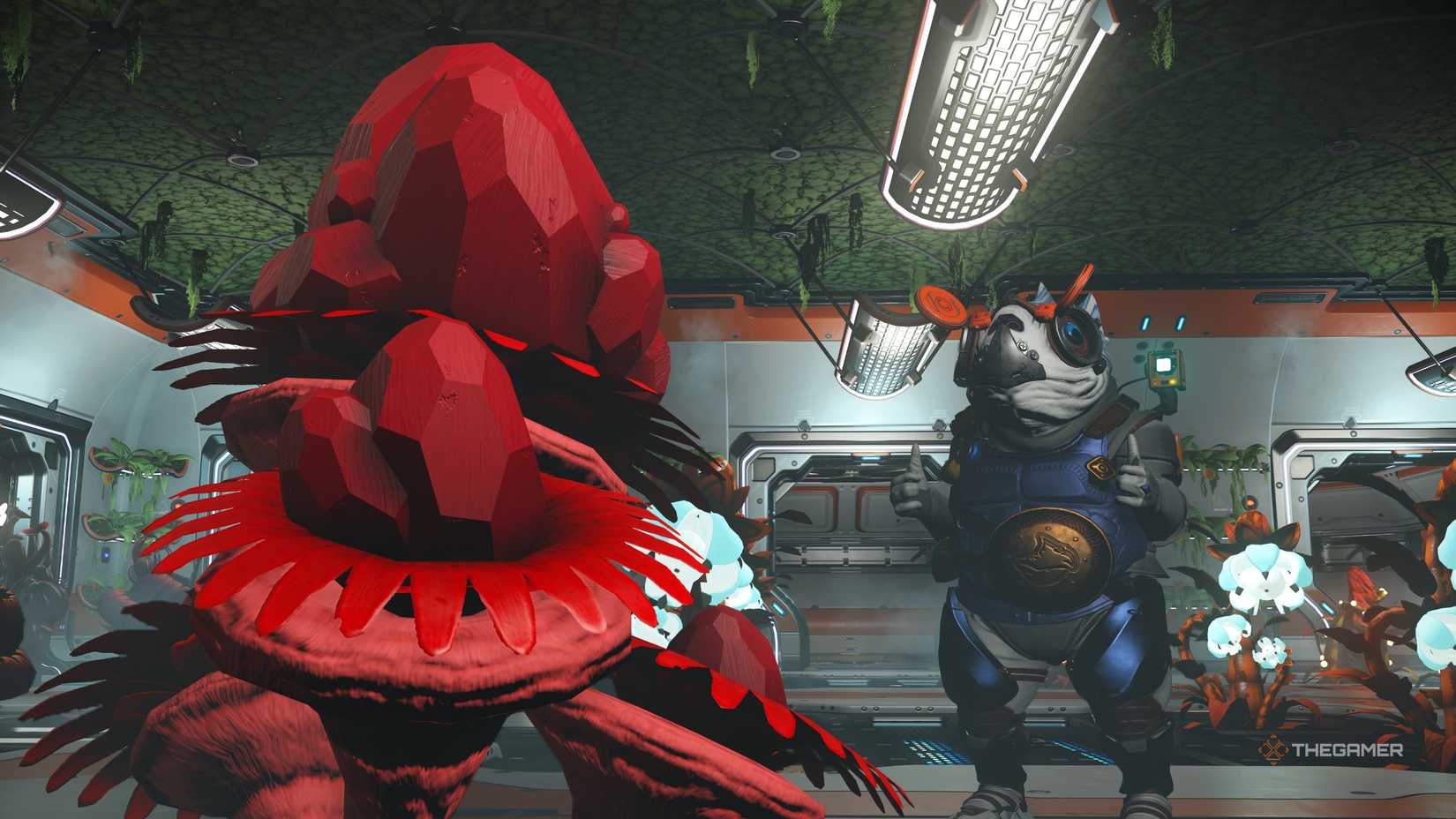 How To Get Faecium In No Man's Sky