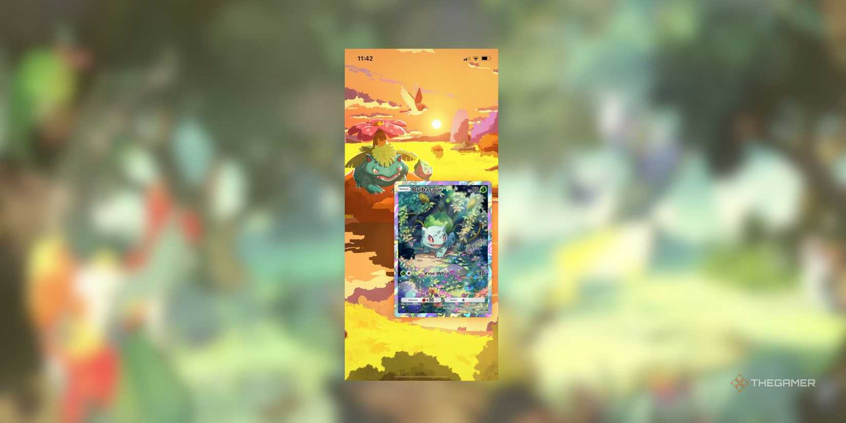 The Best Display Boards In Pokemon Pocket
