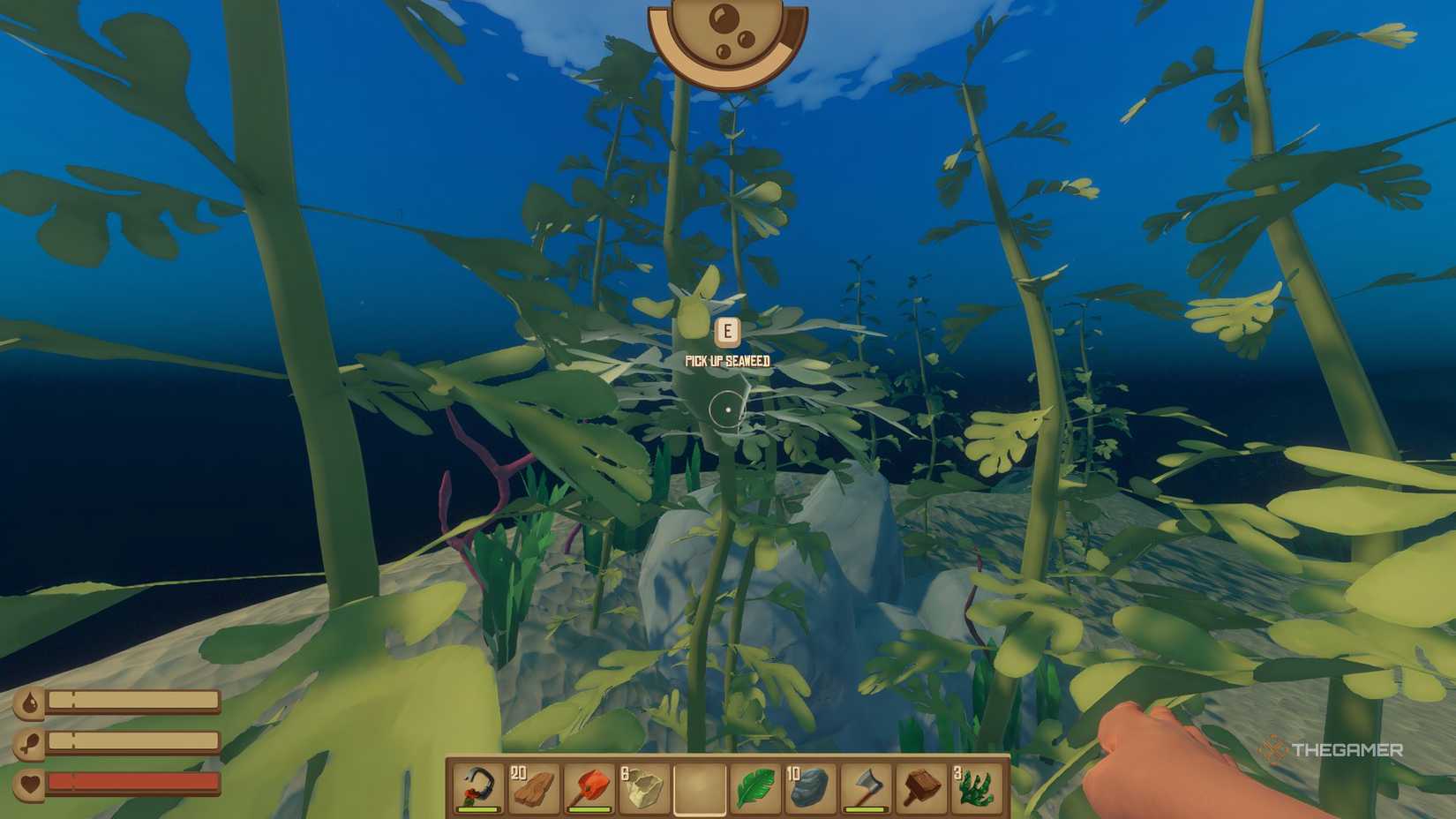 Where To Find Seaweed In Raft